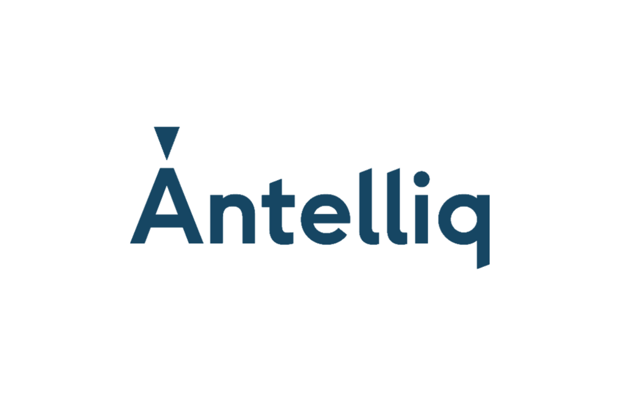 Antelliq — BC Partners