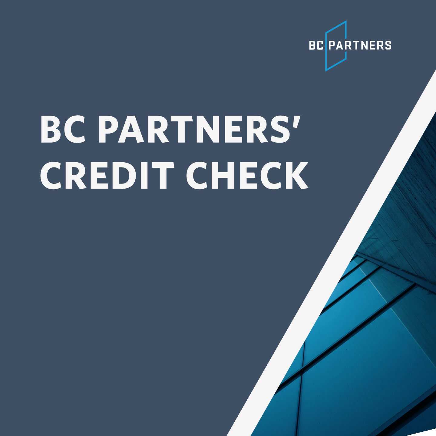 BC Credit Check - January 2025 — BC Partners